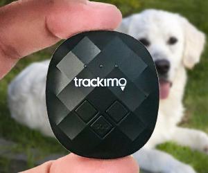 Global Trackimo Devices | Trackimo.com.au
